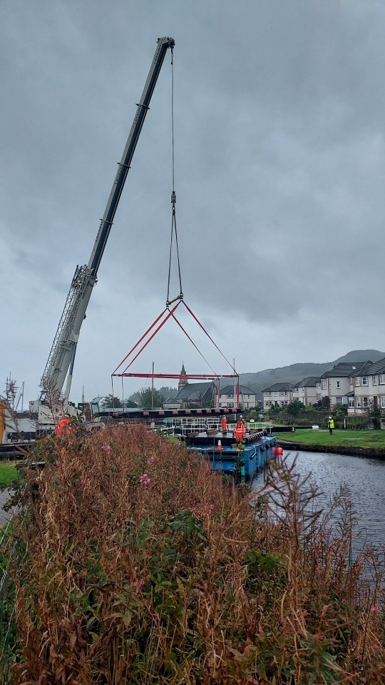 Craning my neck! | snapper | Blipfoto