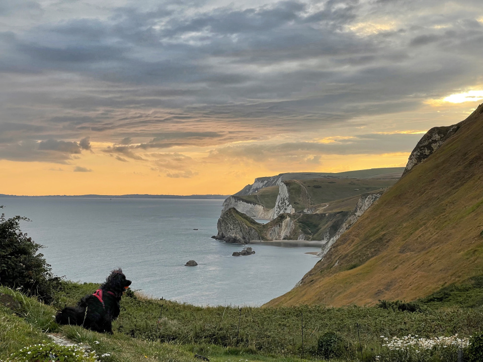 emergency blip! | sk | Blipfoto