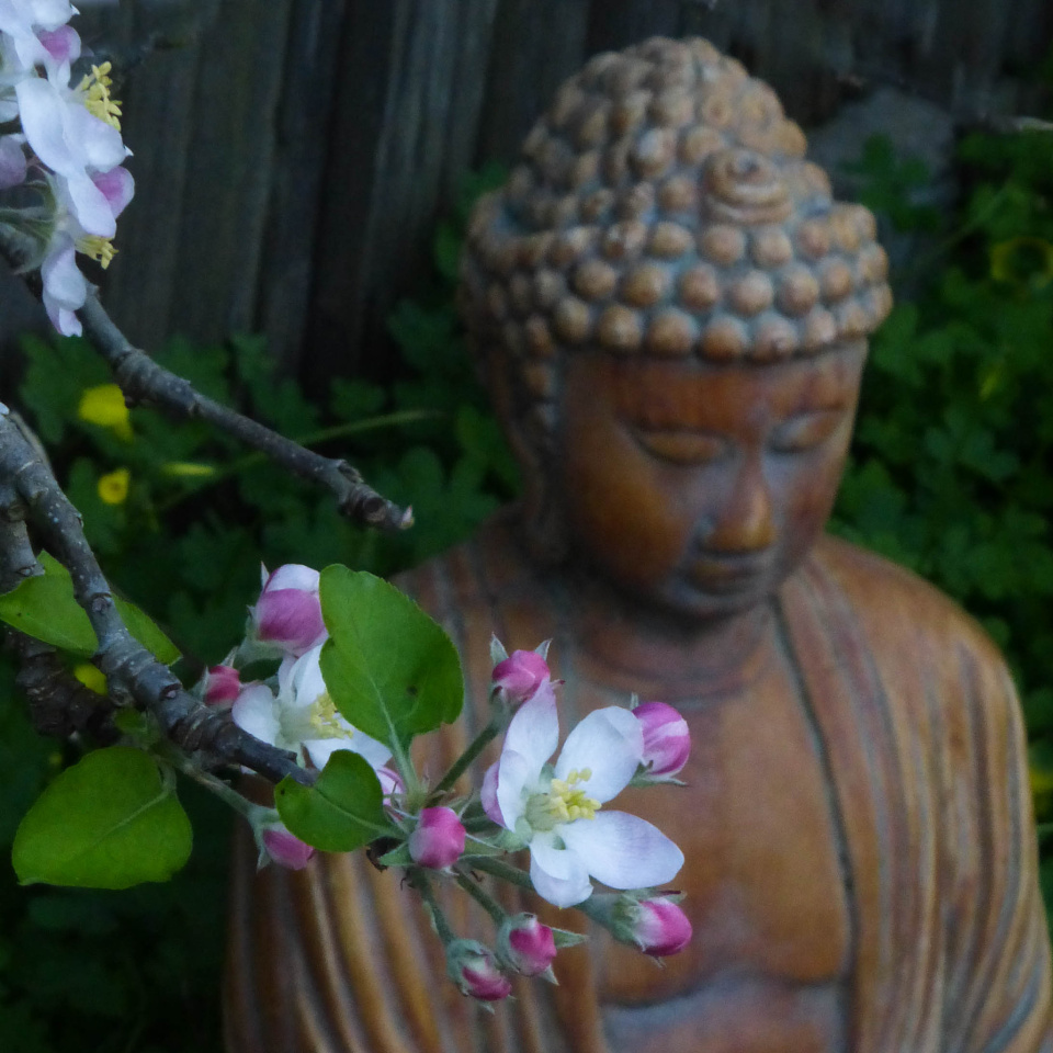 Peace in the Garden | soozaday | Blipfoto