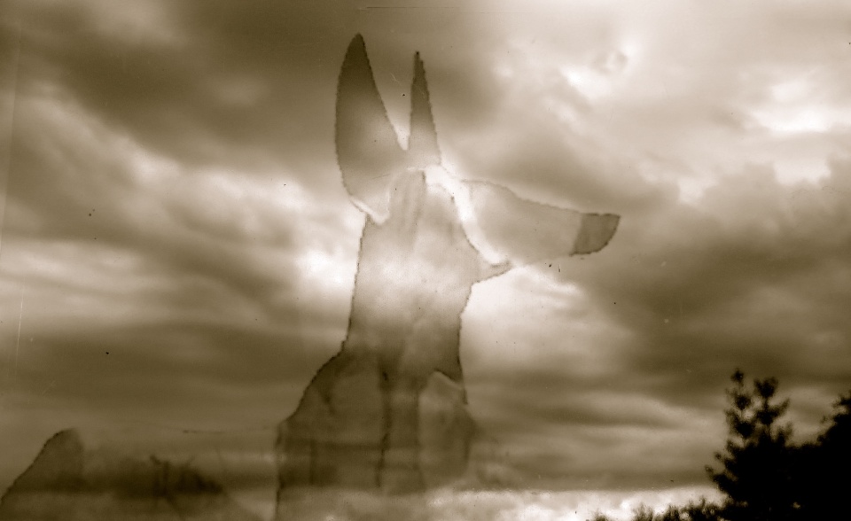 Storm | Libra | Blipfoto