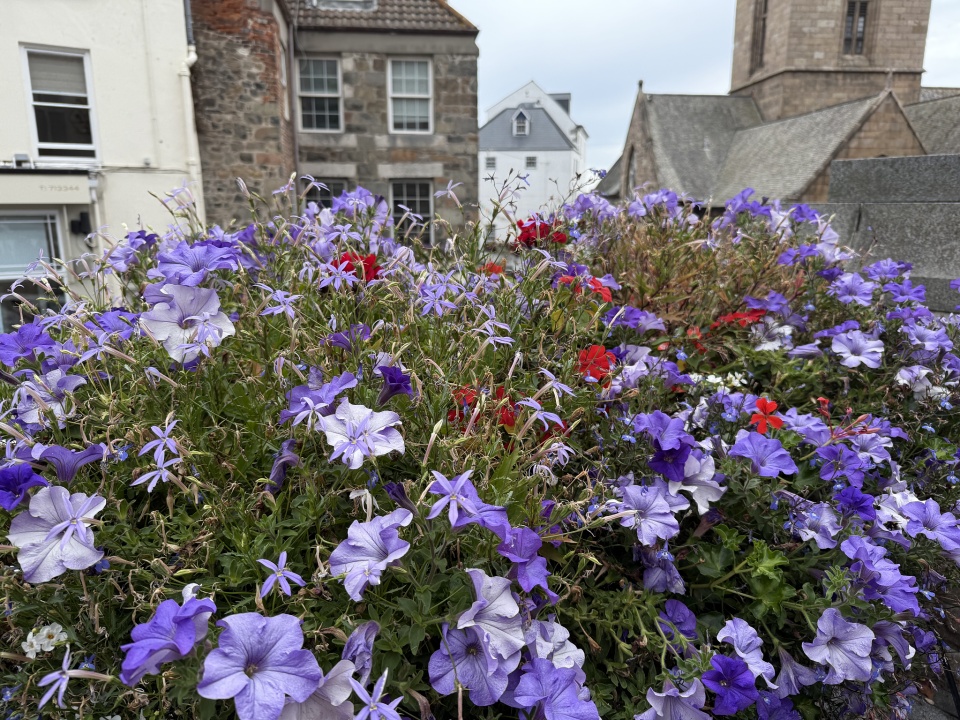 Flower Friday… | UrbanDonkey | Blipfoto