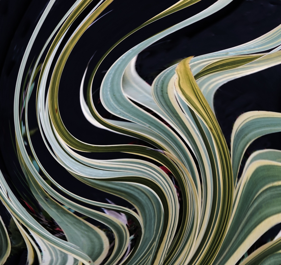 Abstract Thursday | rainie | Blipfoto