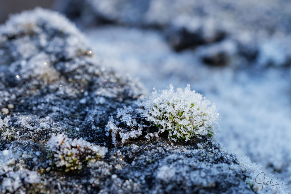 Freeze | JDO | Blipfoto