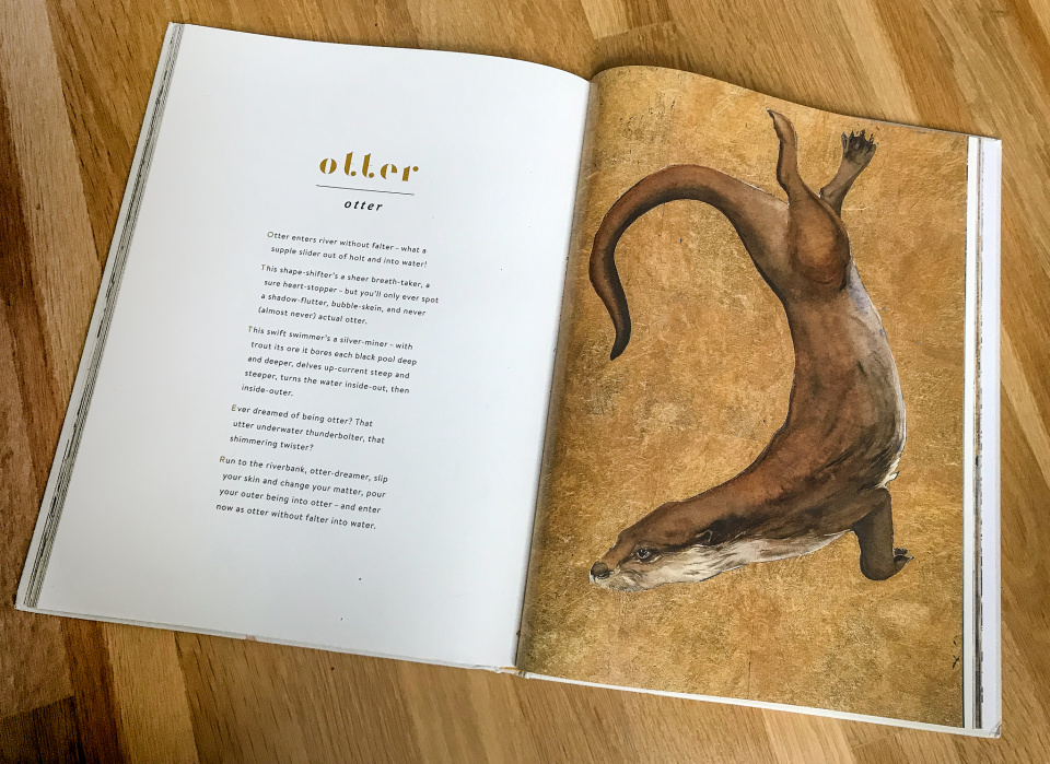 Lost Words...Otter (?) | NannaK | Blipfoto