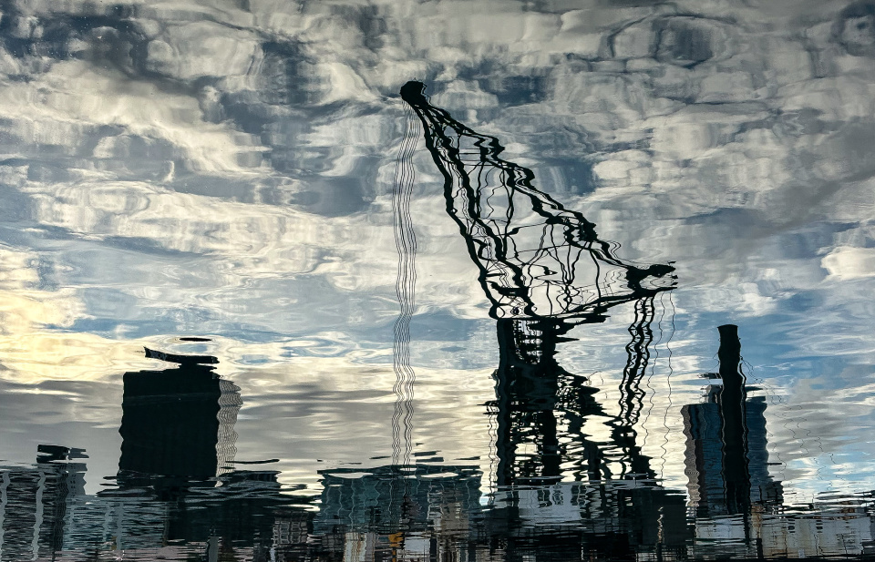 Reflective | TussockTales | Blipfoto