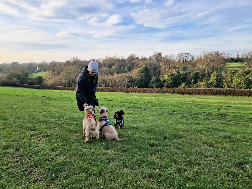 treat time | spishy | Blipfoto