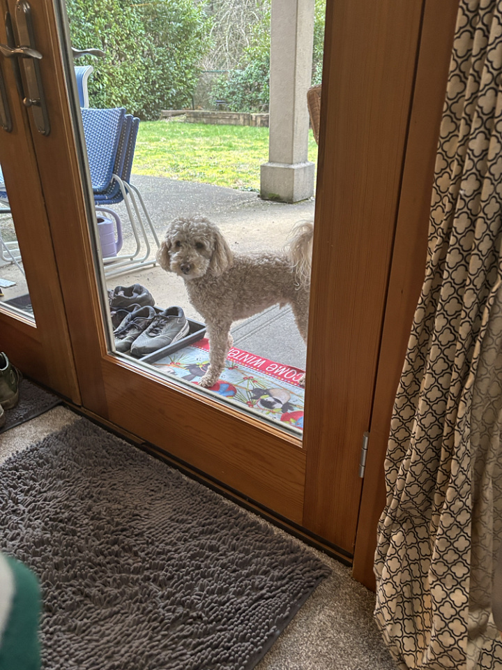 Please | comments | Blipfoto