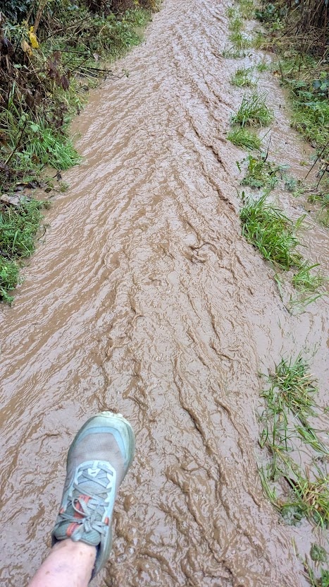 Wet Run | barbarathomson | Blipfoto