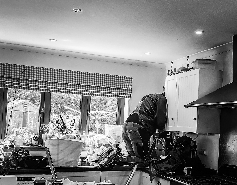 The headless wonder! | weeflecky | Blipfoto