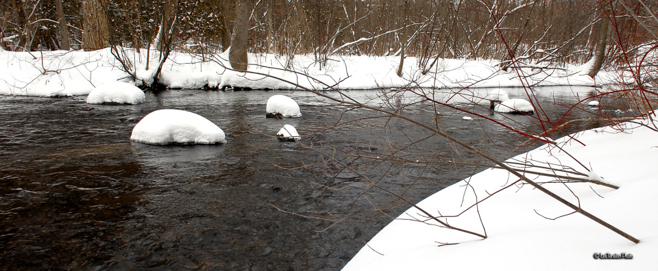MULLET RIVER IN WINTER | LesTension | Blipfoto