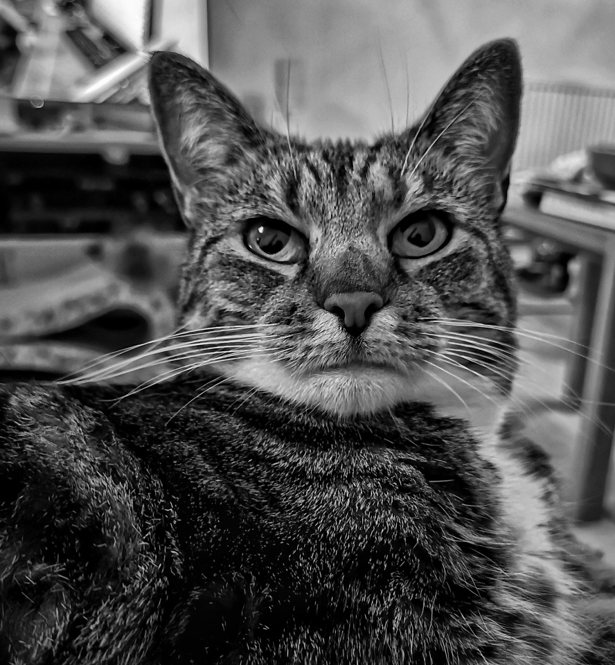 Tilly Tuesday | HelenJG | Blipfoto