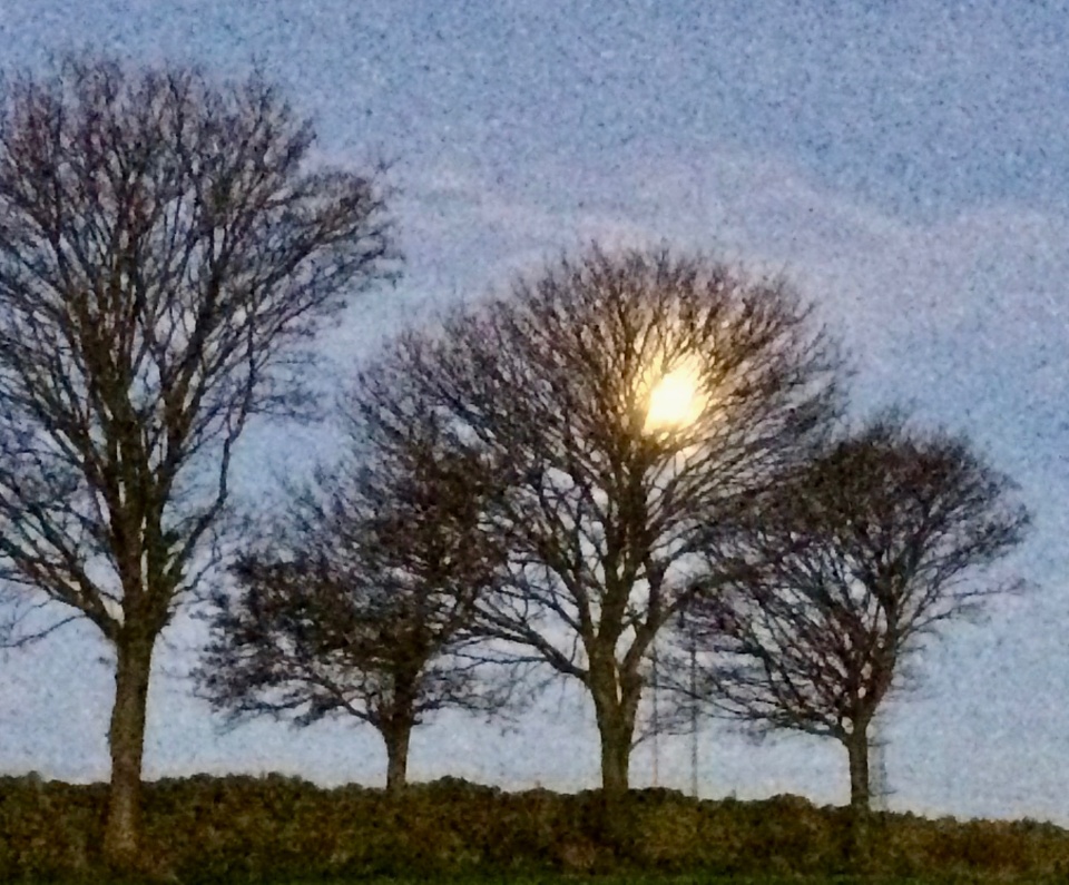 Moon at Daybreak | AndrewFH | Blipfoto