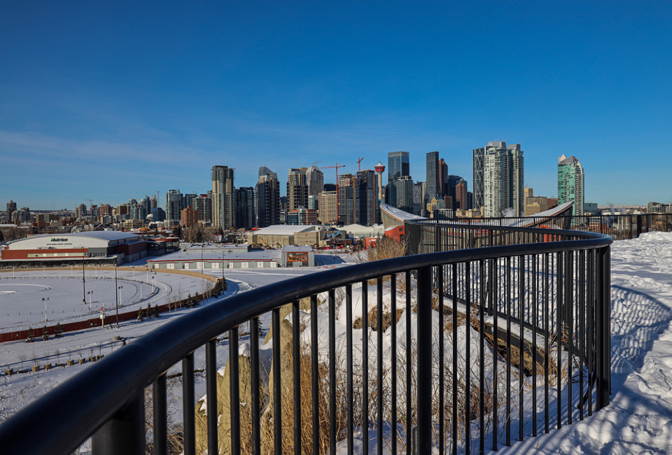 Cow Town | Lysle_Photo | Blipfoto