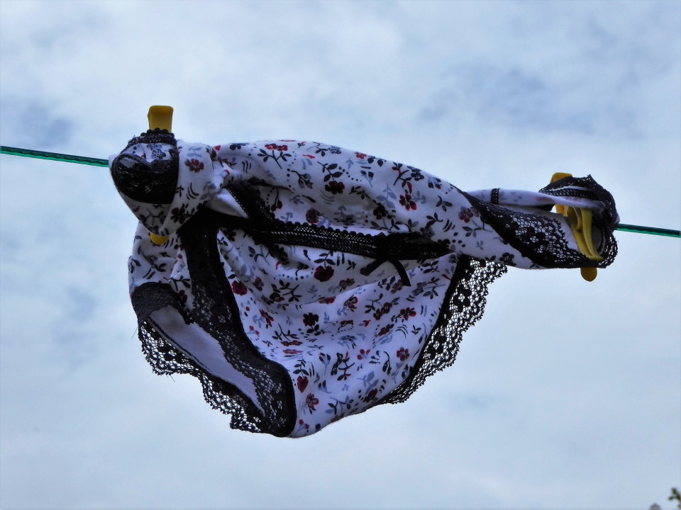 Getting my knickers in a twist. | welshmaid50 | Blipfoto