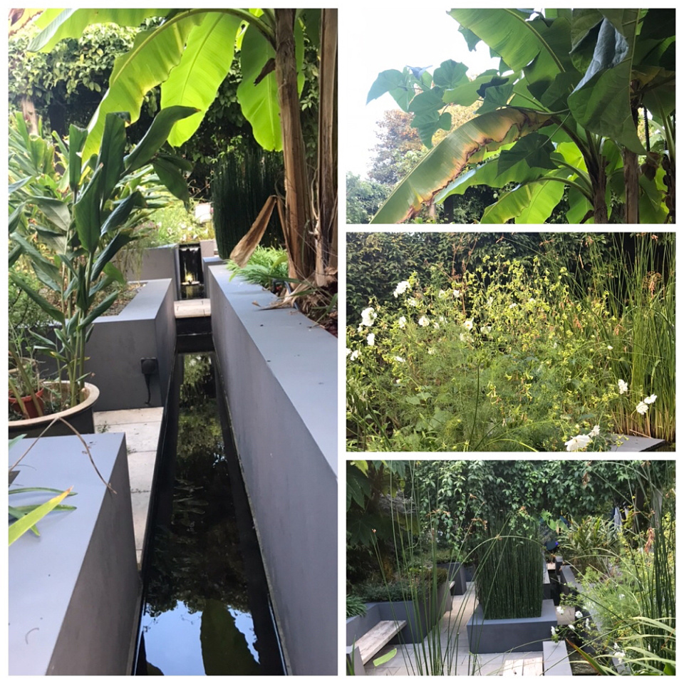 Urban haven | pixelpixie | Blipfoto