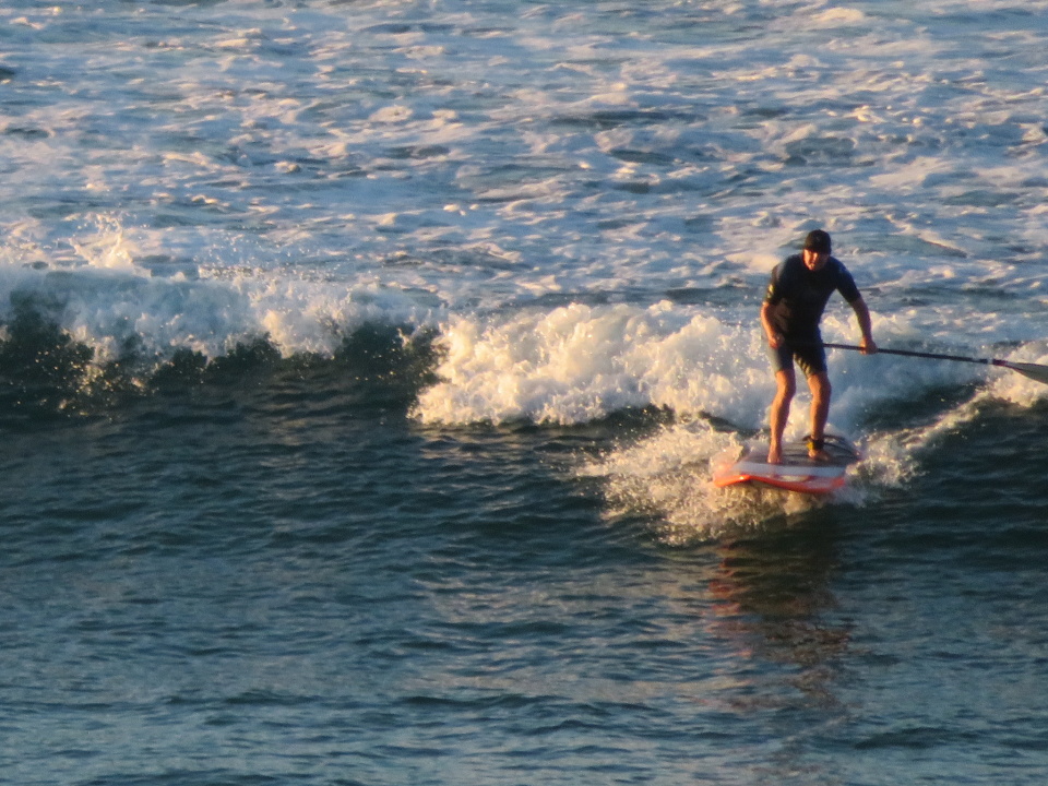 Staying upright | Clare1 | Blipfoto