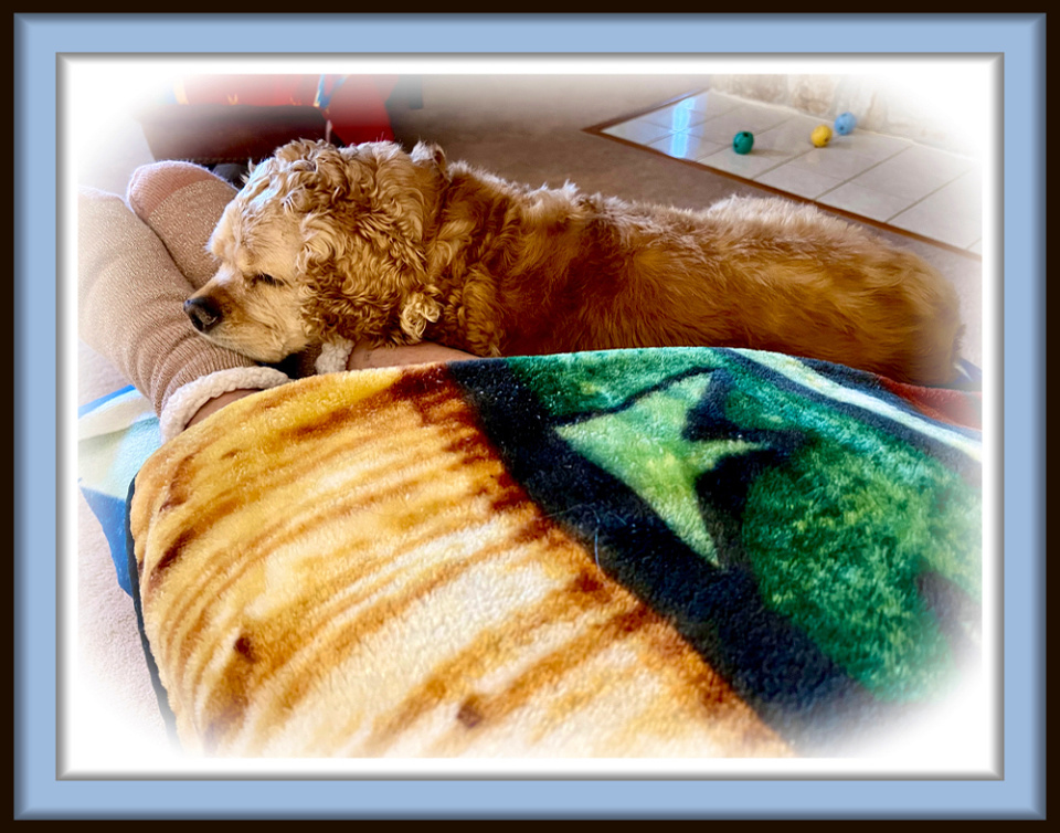 My Snuggle Buddy | Grammy | Blipfoto