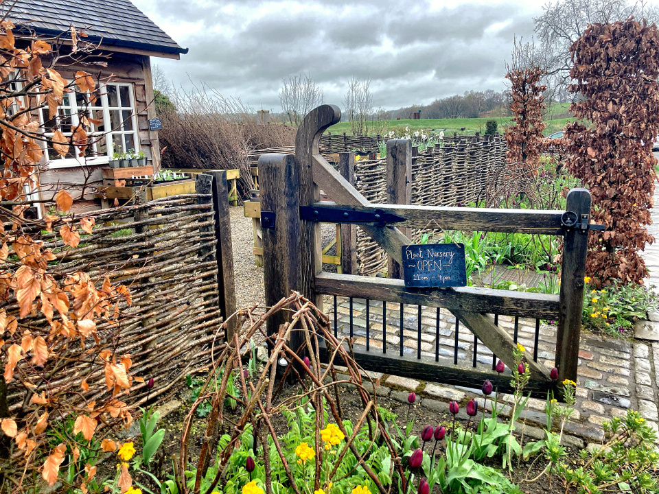 YorkGate 2024 | mambo | Blipfoto