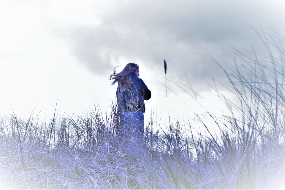 Windswept | BruceM | Blipfoto