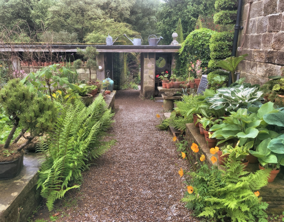 YorkGate on a Rainy Day | mambo | Blipfoto