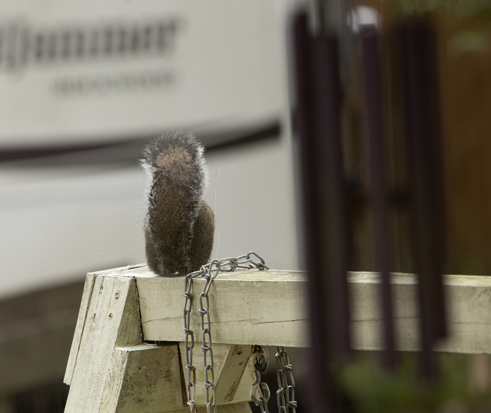 Humpf | bugsman | Blipfoto