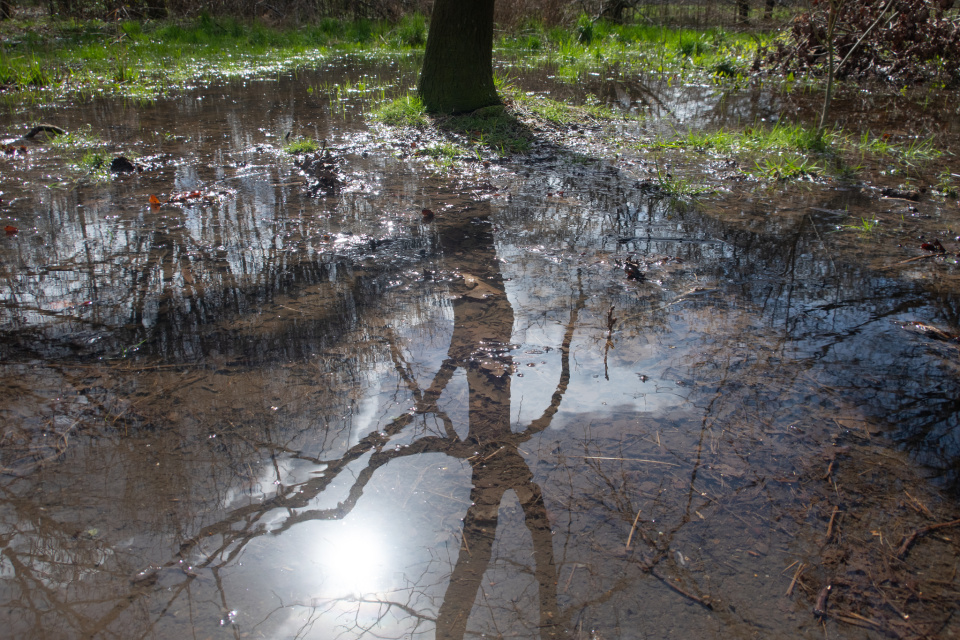 Big Puddle | Kernow | Blipfoto