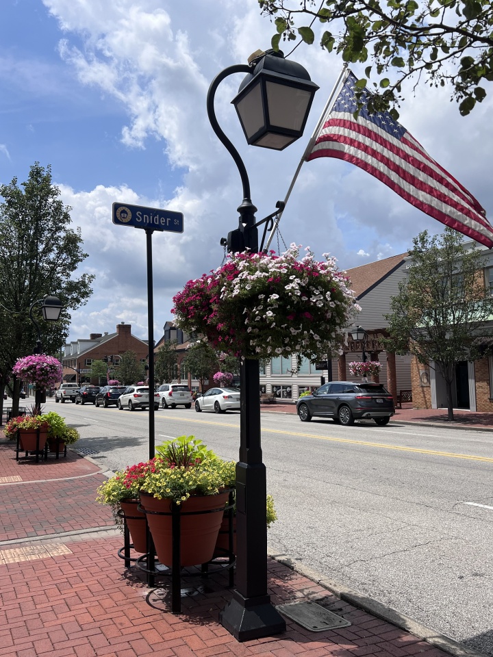 Flowers and flags | turnx3 | Blipfoto