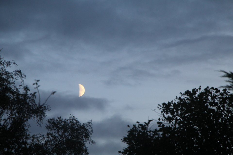 Half a Moon | Sanri | Blipfoto