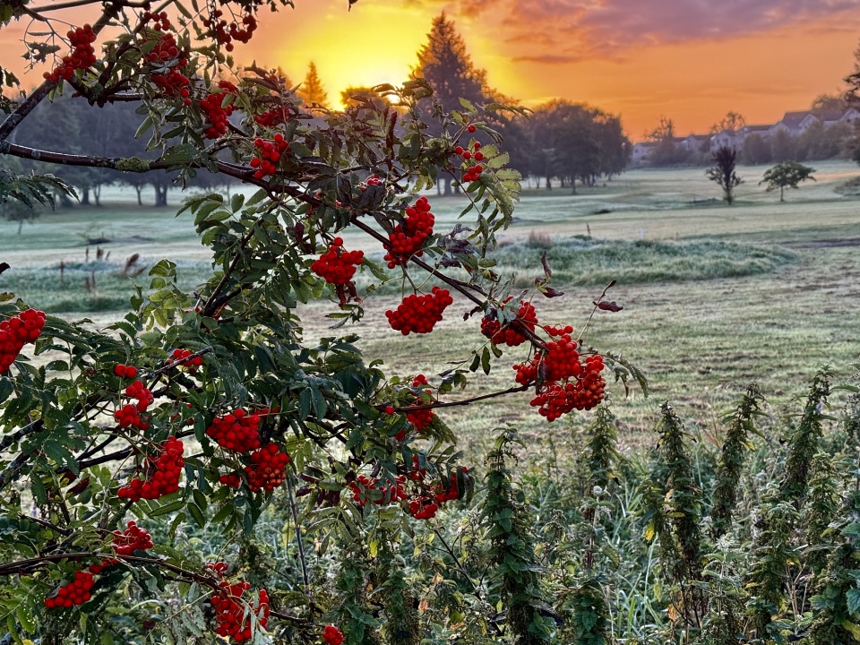 I DID IT. | Larchlea | Blipfoto