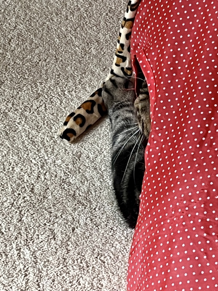 Rainy Playtime | pplnani | Blipfoto