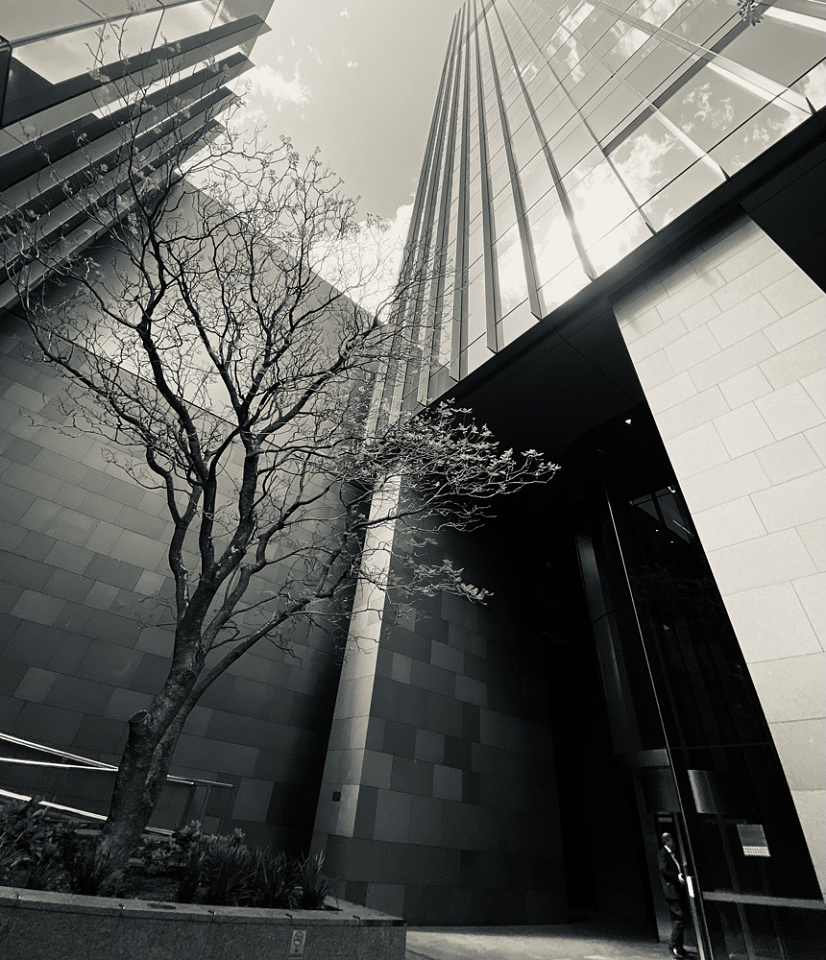 ONE TREE | Doyley22 | Blipfoto