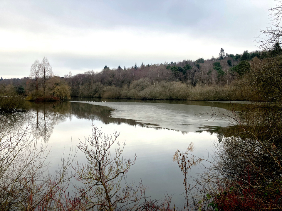 Ice Floats | mambo | Blipfoto