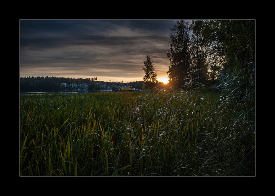Rushes behind the sun goes down. | pitkis | Blipfoto