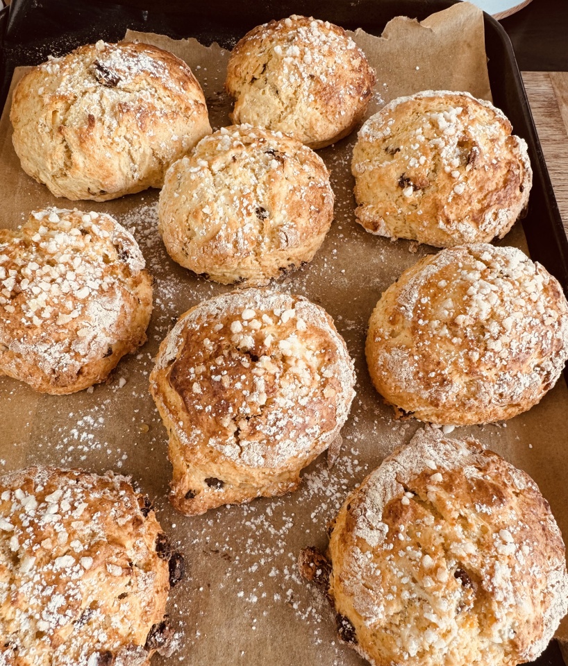 BUTTERMILK SCONES | sunflower | Blipfoto