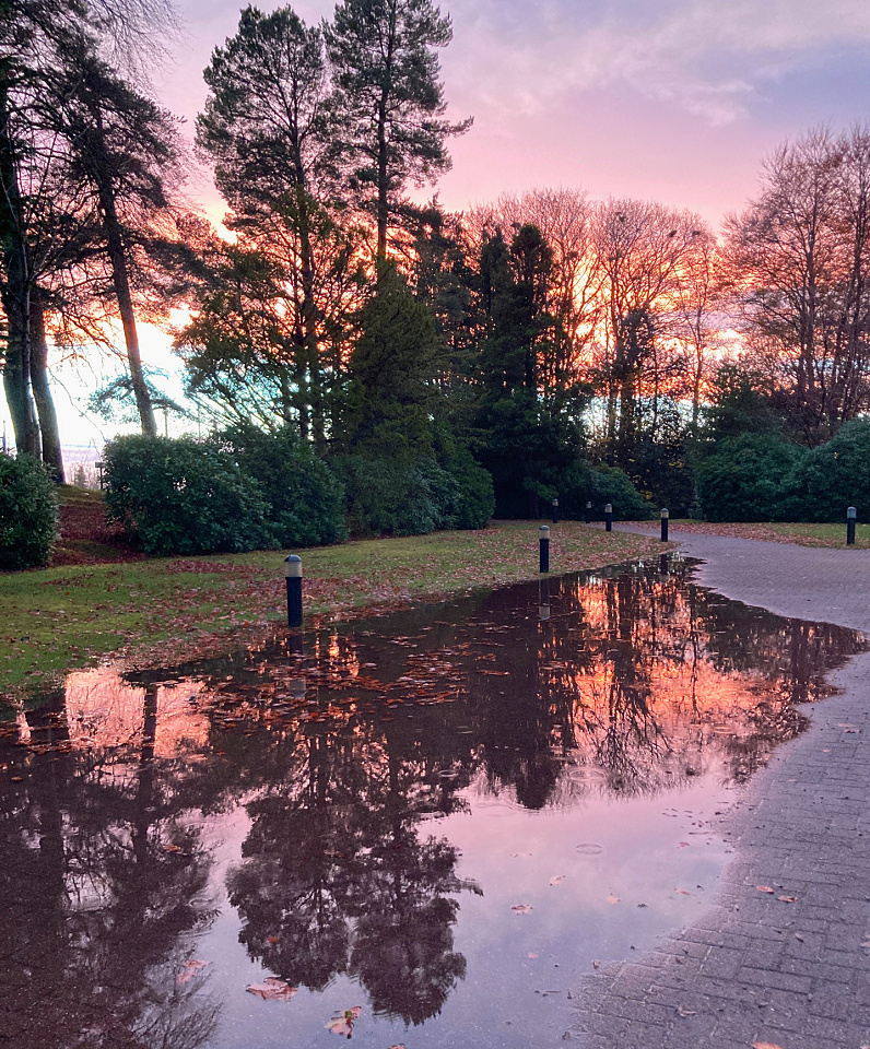 Sunset in puddle | Libra | Blipfoto