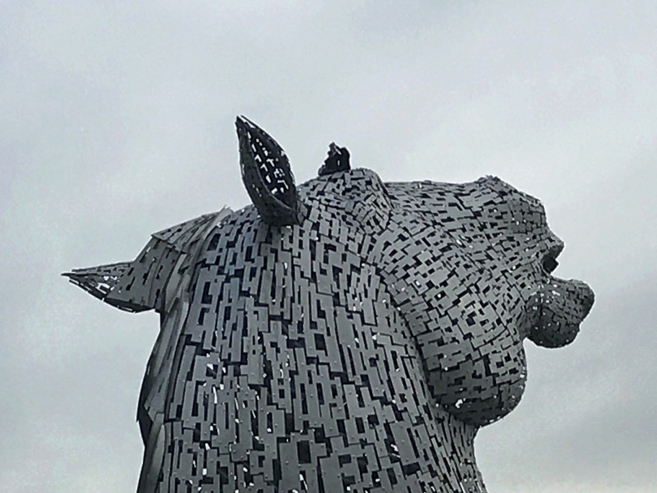 Not clever! | JohnD | Blipfoto