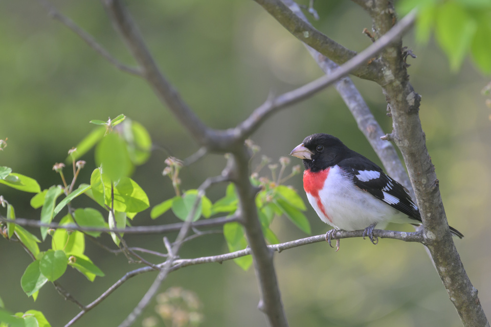 Aptly named | dbifulco | Blipfoto