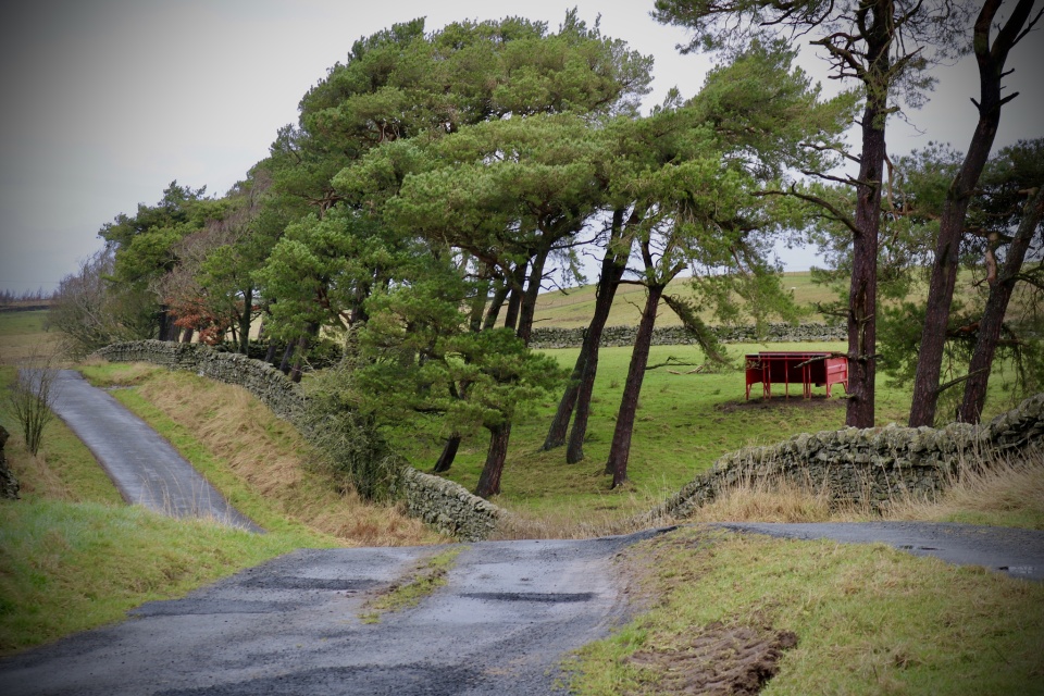 No rain | Jaybay | Blipfoto