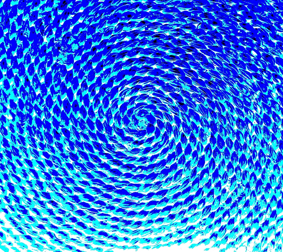 Blue & gold | Tigger101 | Blipfoto