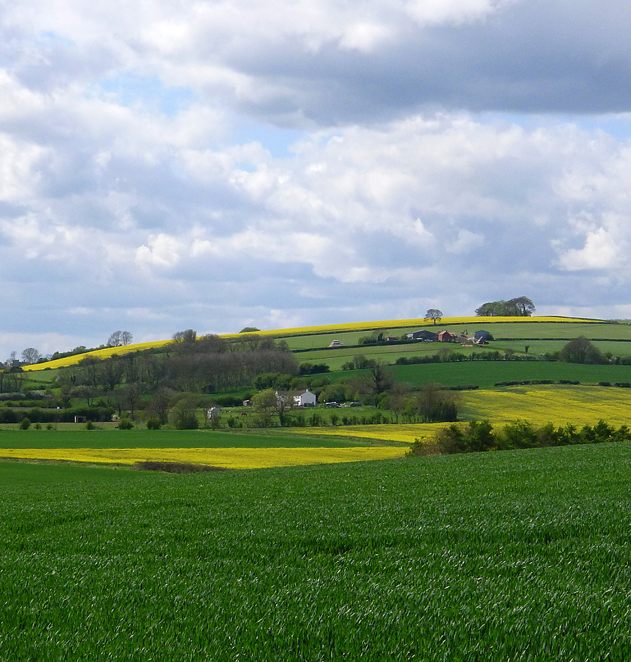 Worlaby Hill | Gilcrux | Blipfoto