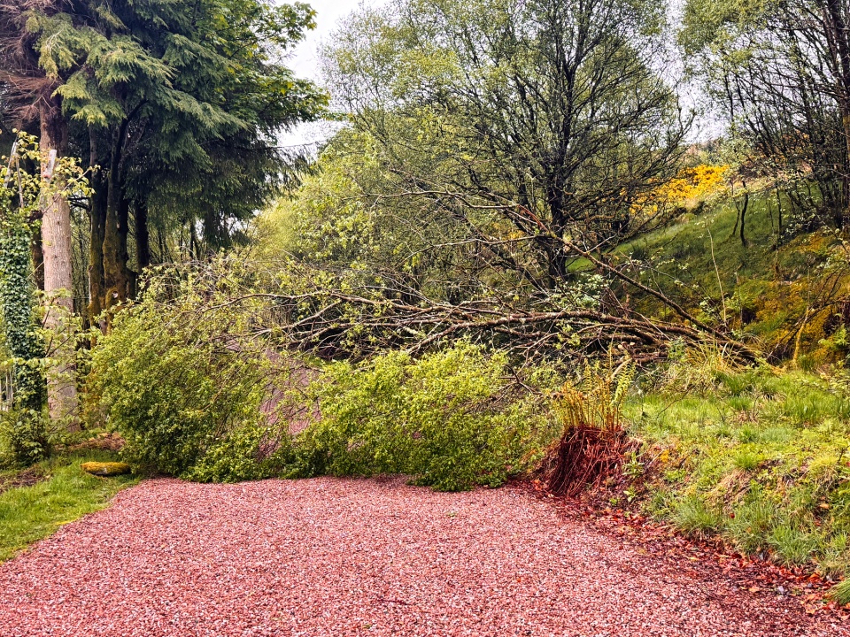 Cutting the way out | feorlean | Blipfoto