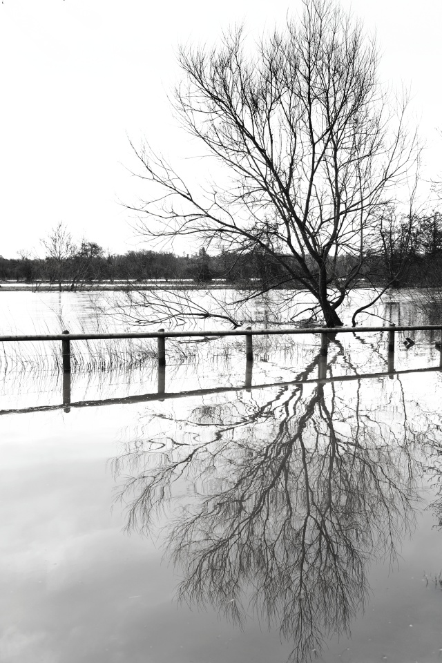 On Reflection | BobsBlips | Blipfoto