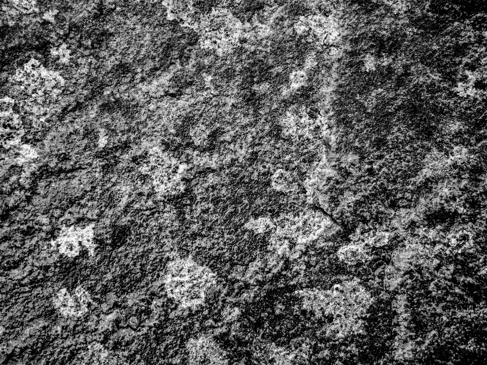 MonoMonday: Texture | davidc | Blipfoto