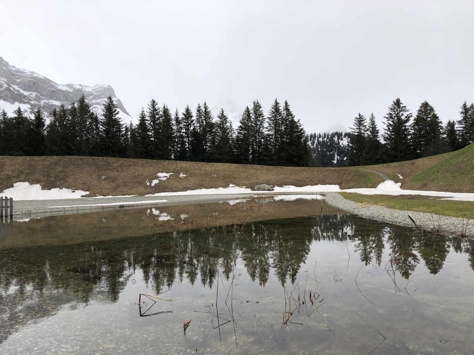 Frience lake | wildmint | Blipfoto