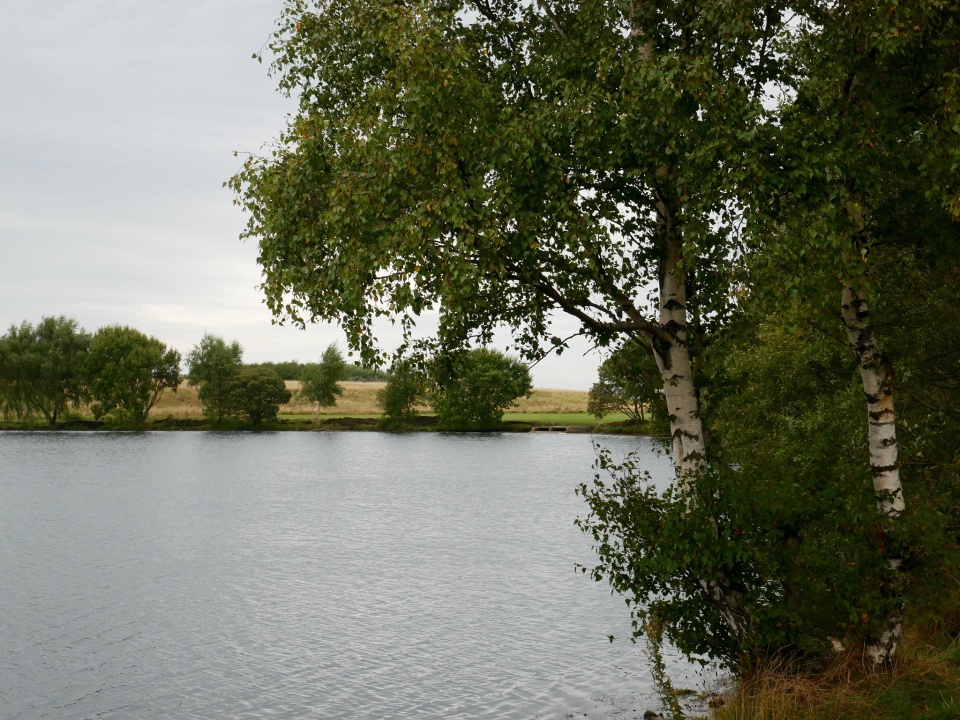Musselburgh Lagoons | FoF | Blipfoto