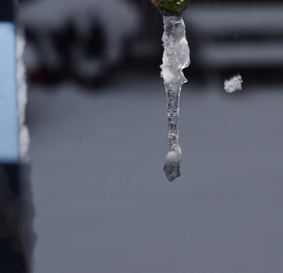 A single icicle | Dee49 | Blipfoto