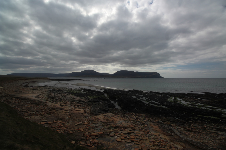 Warebeth (Day 1439) | PorridgeWog | Blipfoto