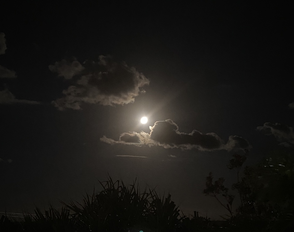 Moonglow | Enzotraveldog | Blipfoto