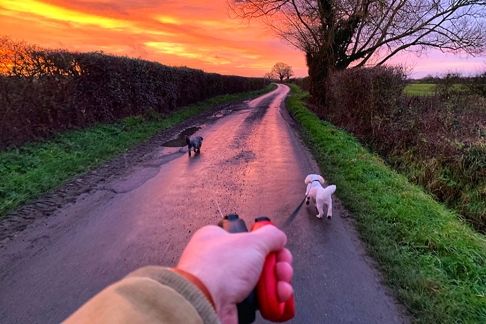 Dawn Walk | captureasecond | Blipfoto