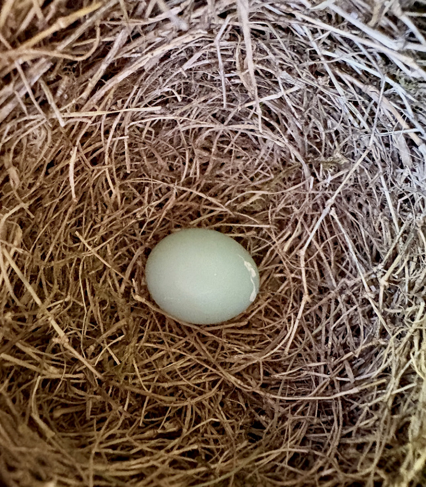 Mothers Day | dbifulco | Blipfoto